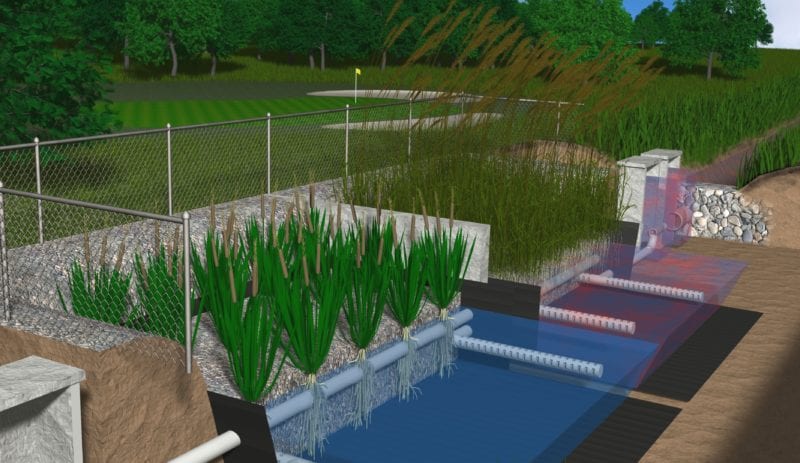 BTEX-contaminated Groundwater