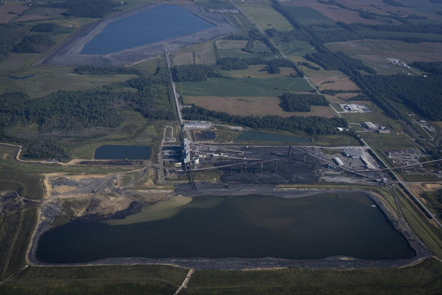 Ash Pond News: July 2022