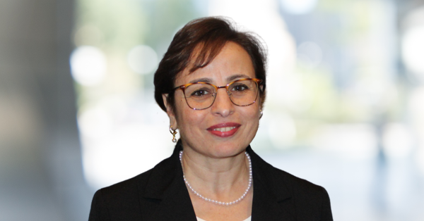 Majda Rabah, PhD, PE, LSRP