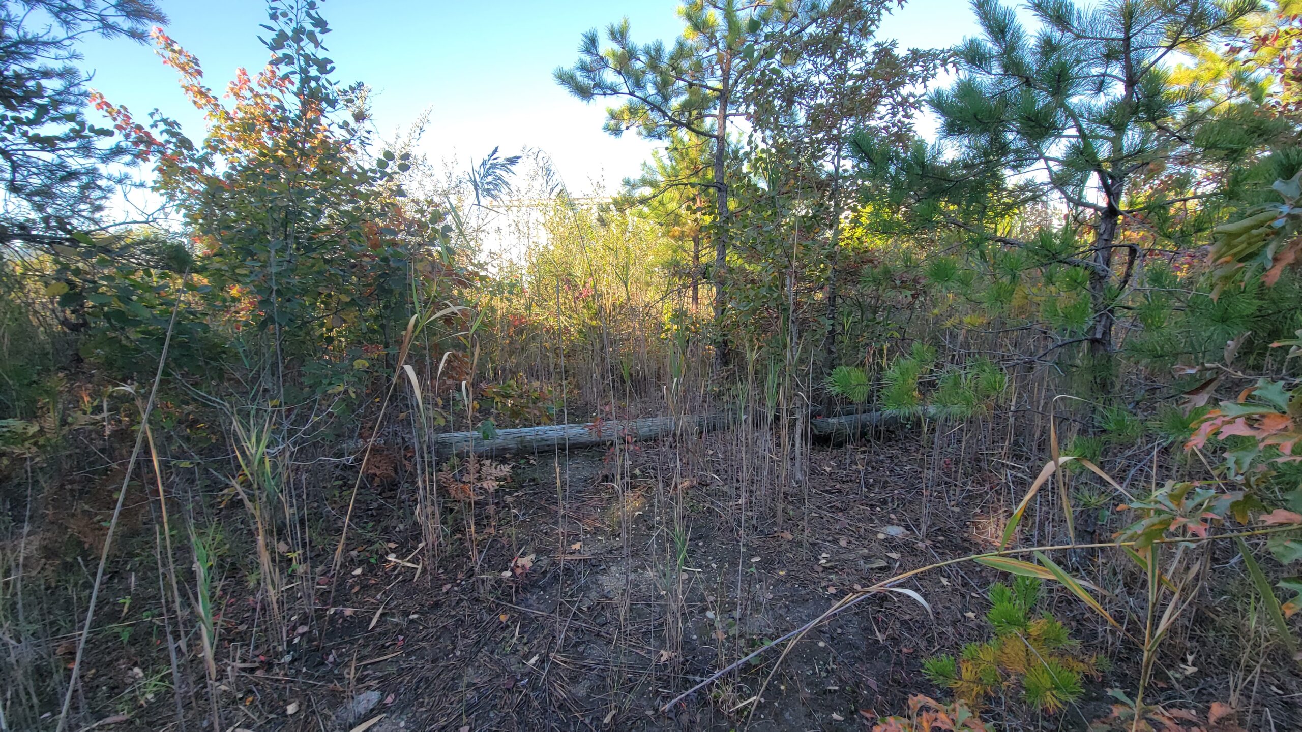 Ecological Remedial Investigation